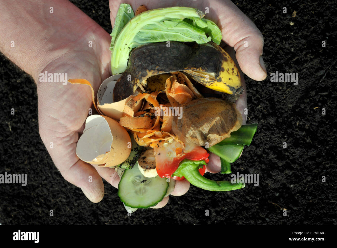 Vegetable decomposition hi-res stock photography and images - Alamy