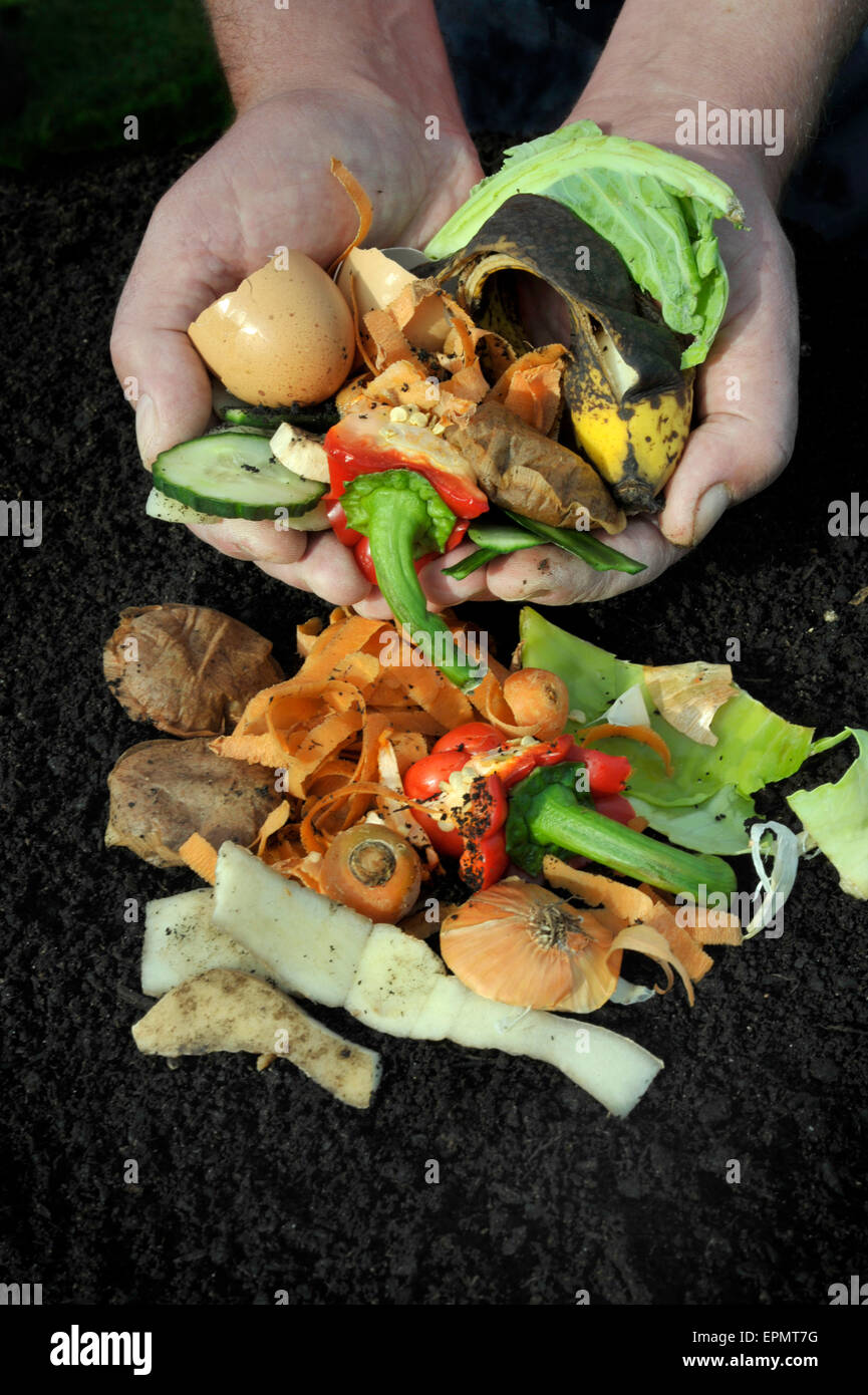 Kitchen food wast ready for recycling into finished compost either ...