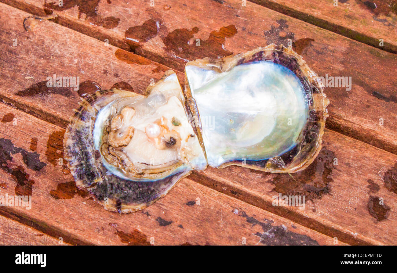 Bahrain pearl hi-res stock photography and images - Alamy