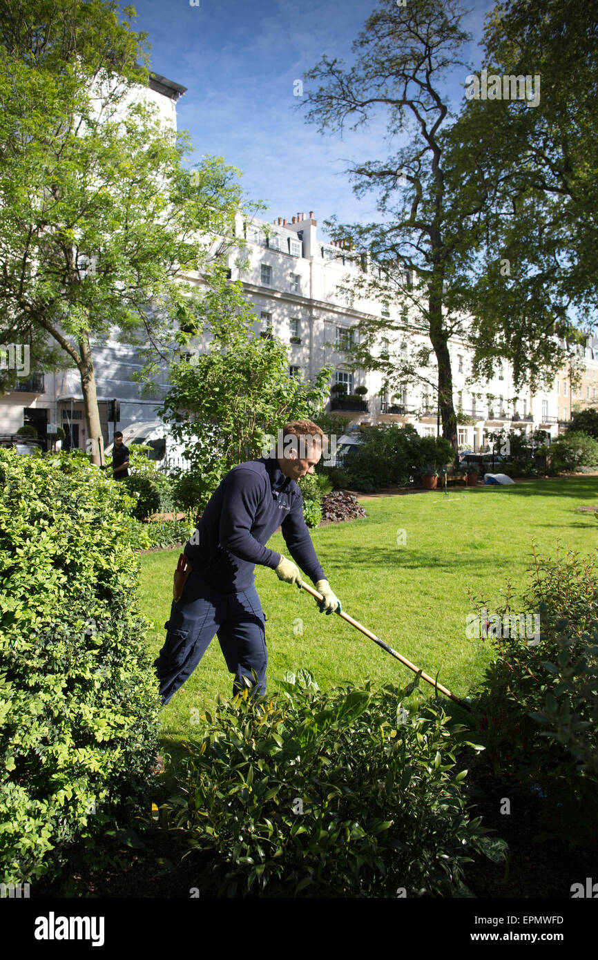Chester Square Gardens, Belgravia, London, England, UK Stock Photo - Alamy