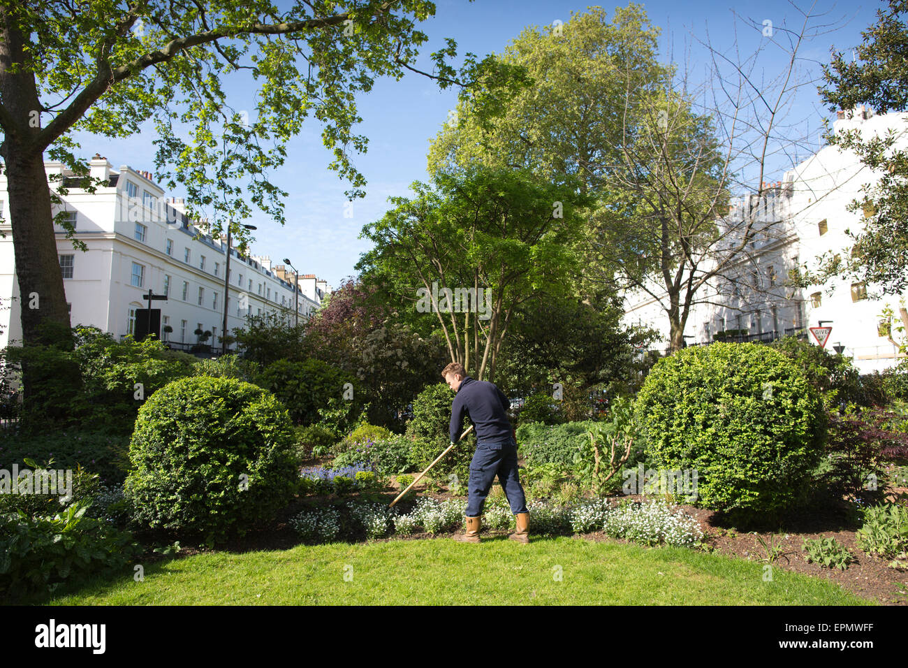 Chester Square Gardens, Belgravia, London, England, UK Stock Photo - Alamy