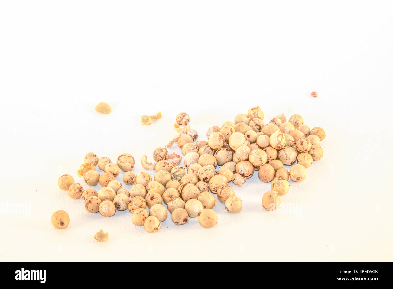 Isolated green pepper season, on white background Stock Photo - Alamy