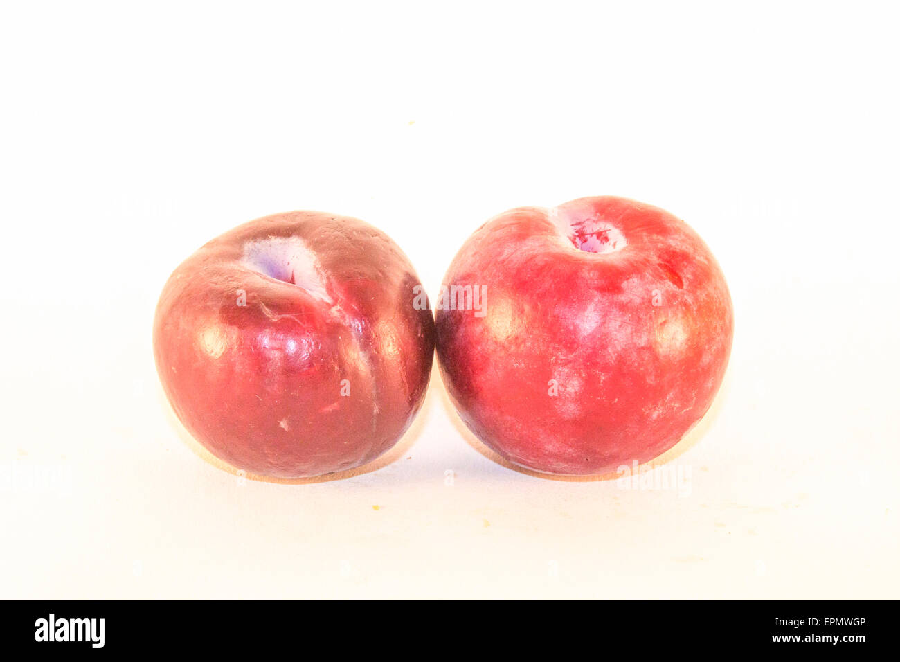 Two isolated lilac plumes, on white background Stock Photo - Alamy