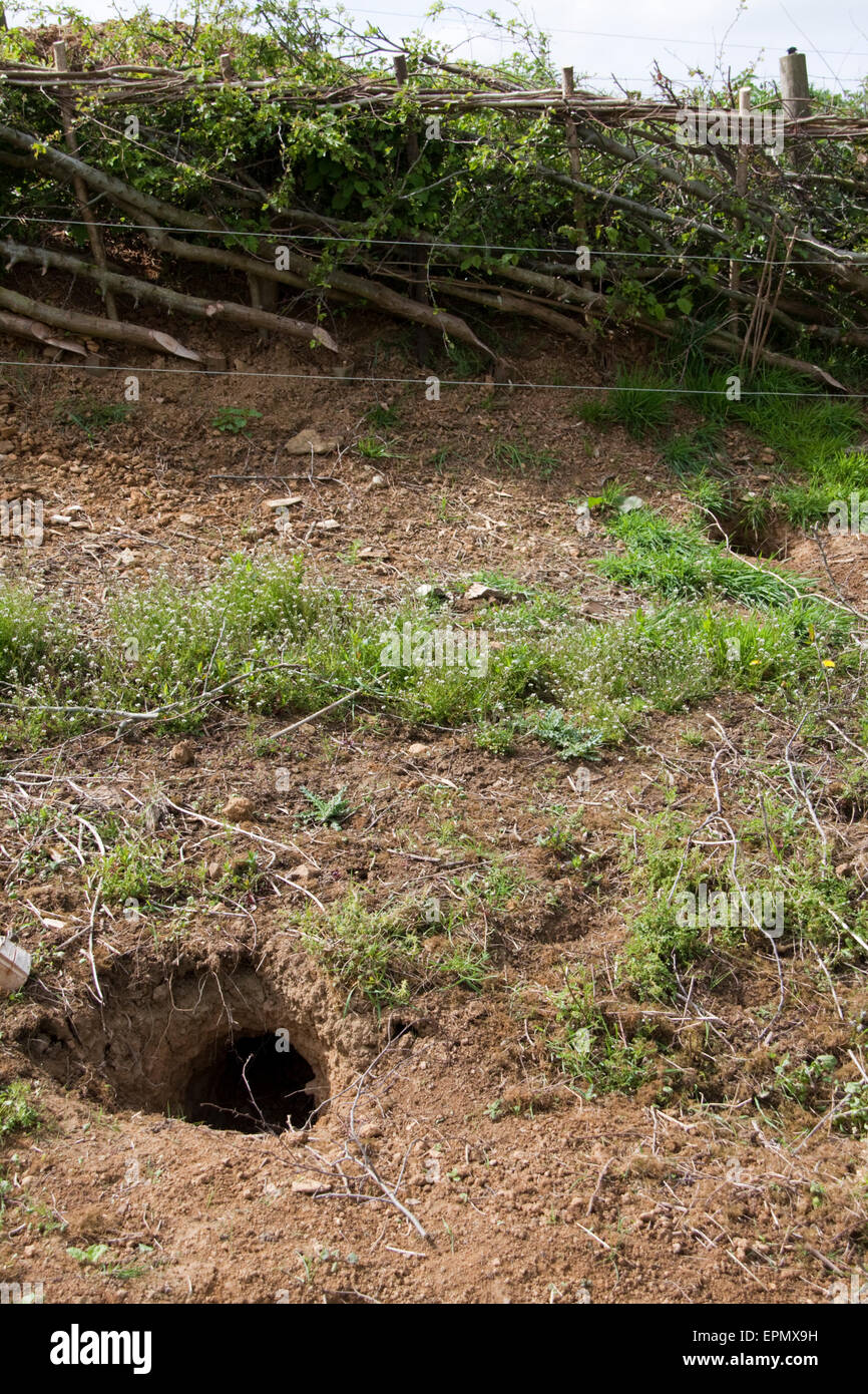 Brailes three hills Walk Stock Photo - Alamy