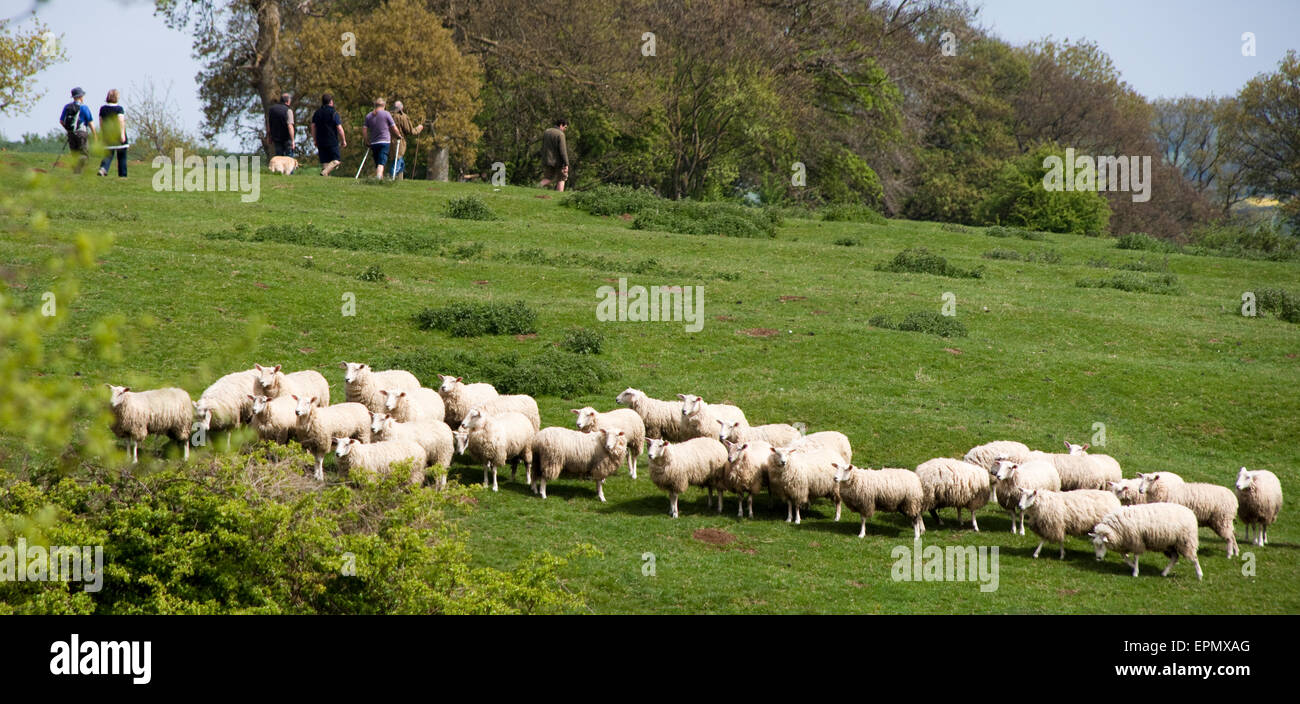 Ridge furrow medieval hi-res stock photography and images - Alamy