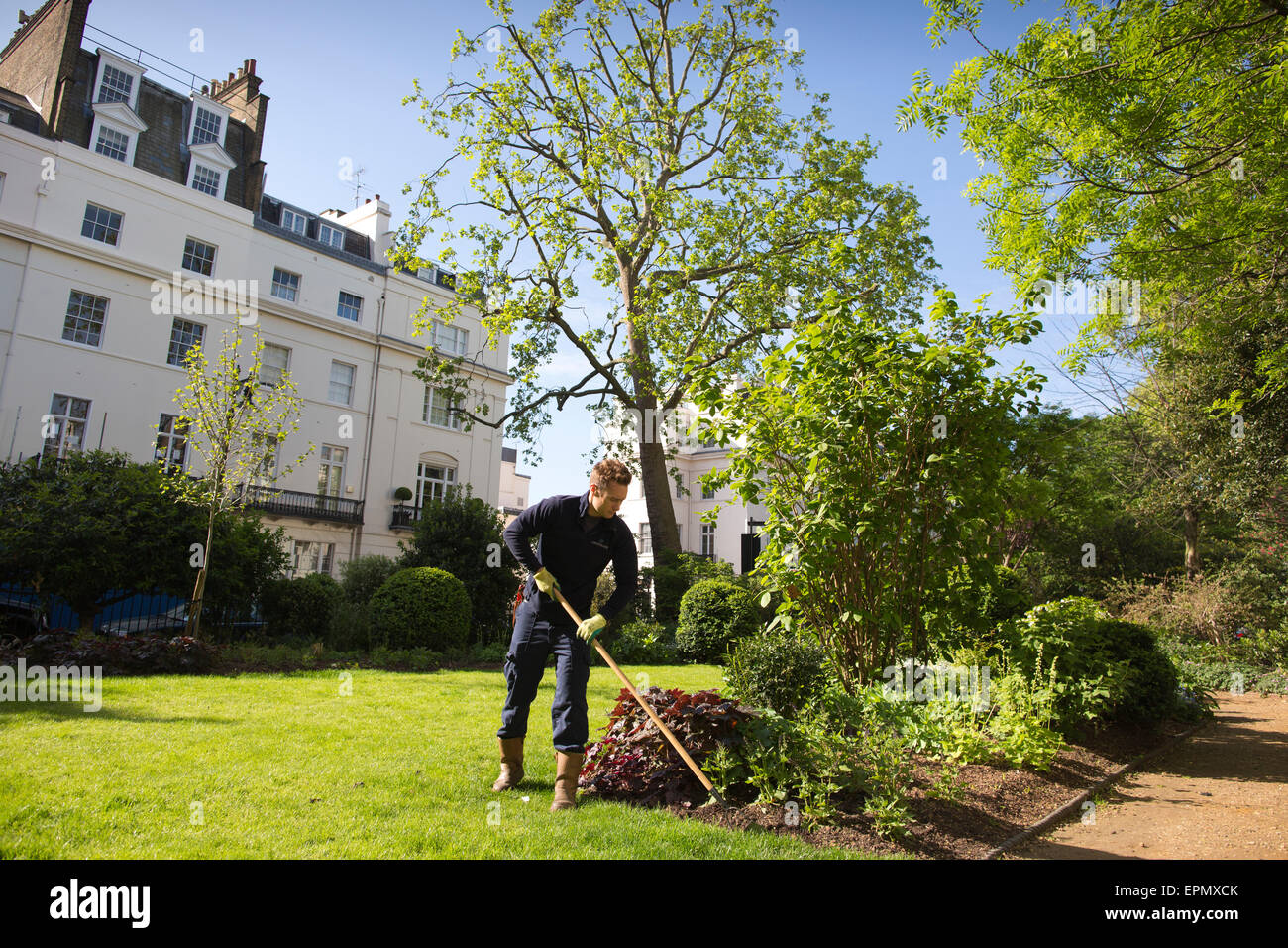 Chester square london hi-res stock photography and images - Alamy