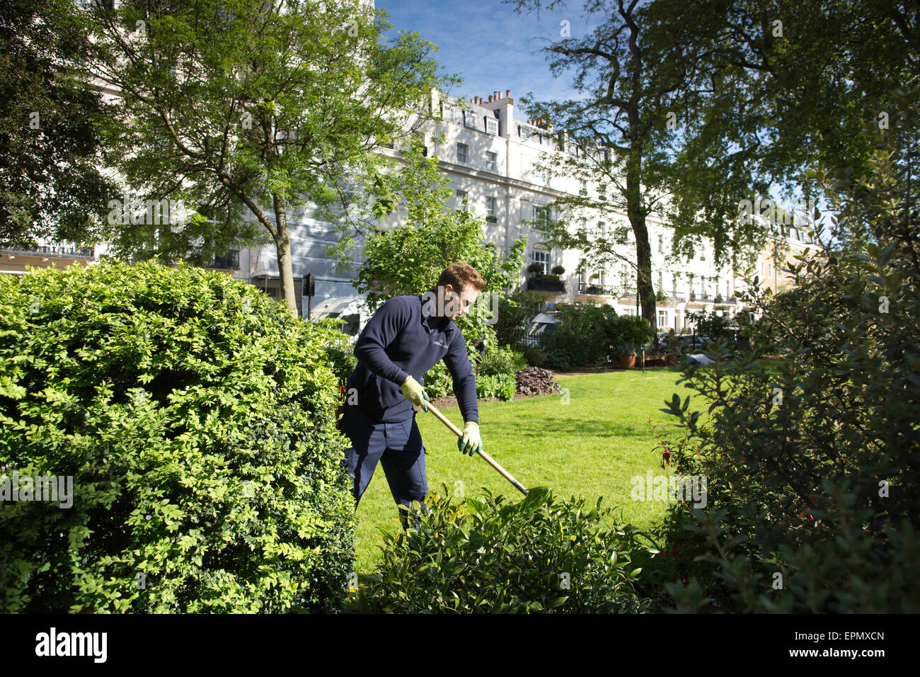 Chester Square Gardens, Belgravia, London, England, UK Stock Photo - Alamy