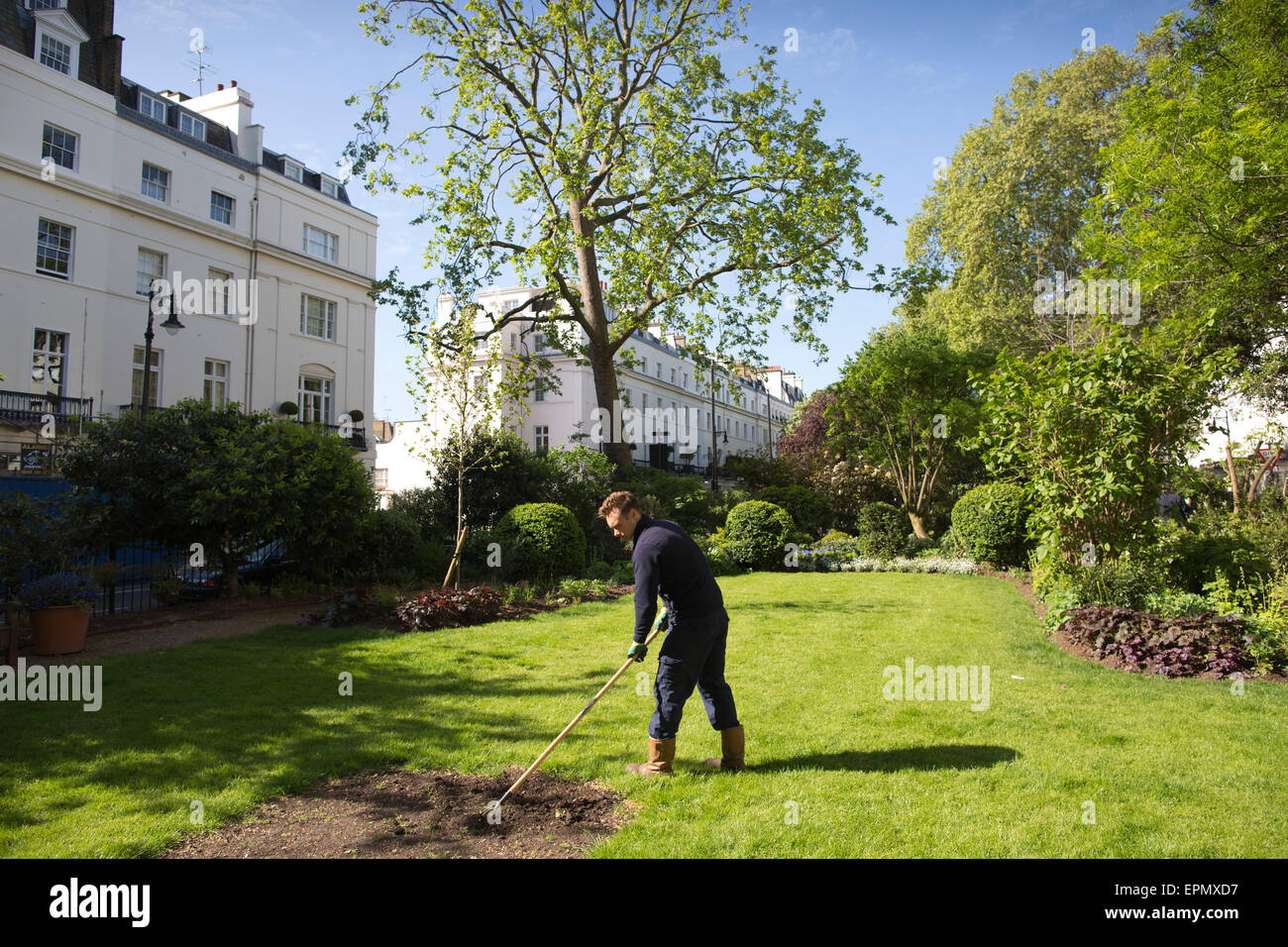 Chester Square Gardens, Belgravia, London, England, UK Stock Photo - Alamy