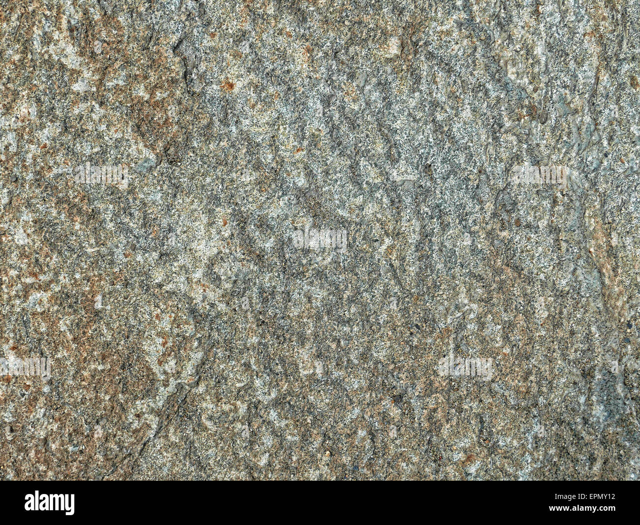 A very close view of a flat rock Stock Photo - Alamy