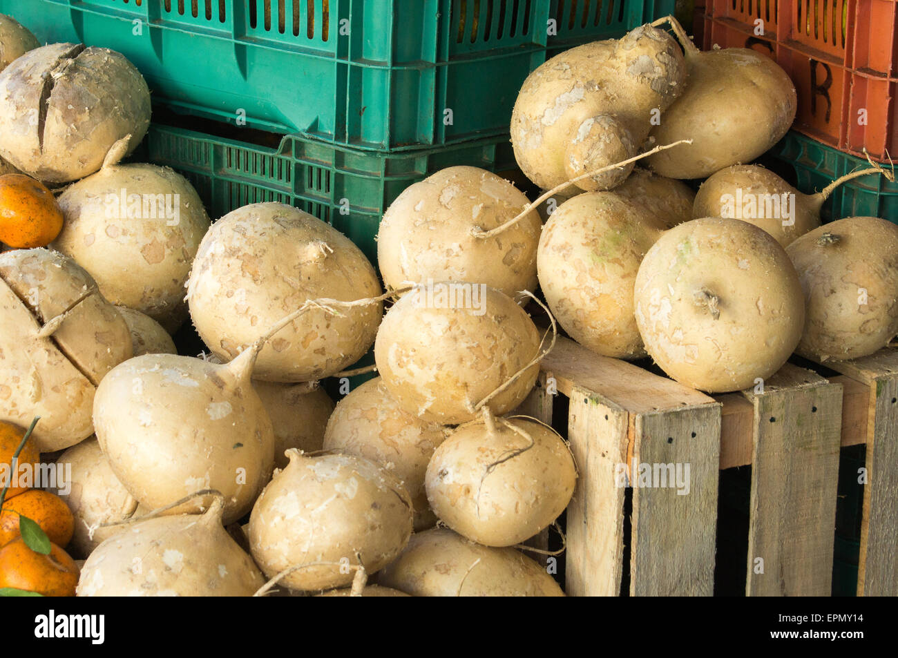 Jicama hi-res stock photography and images - Alamy