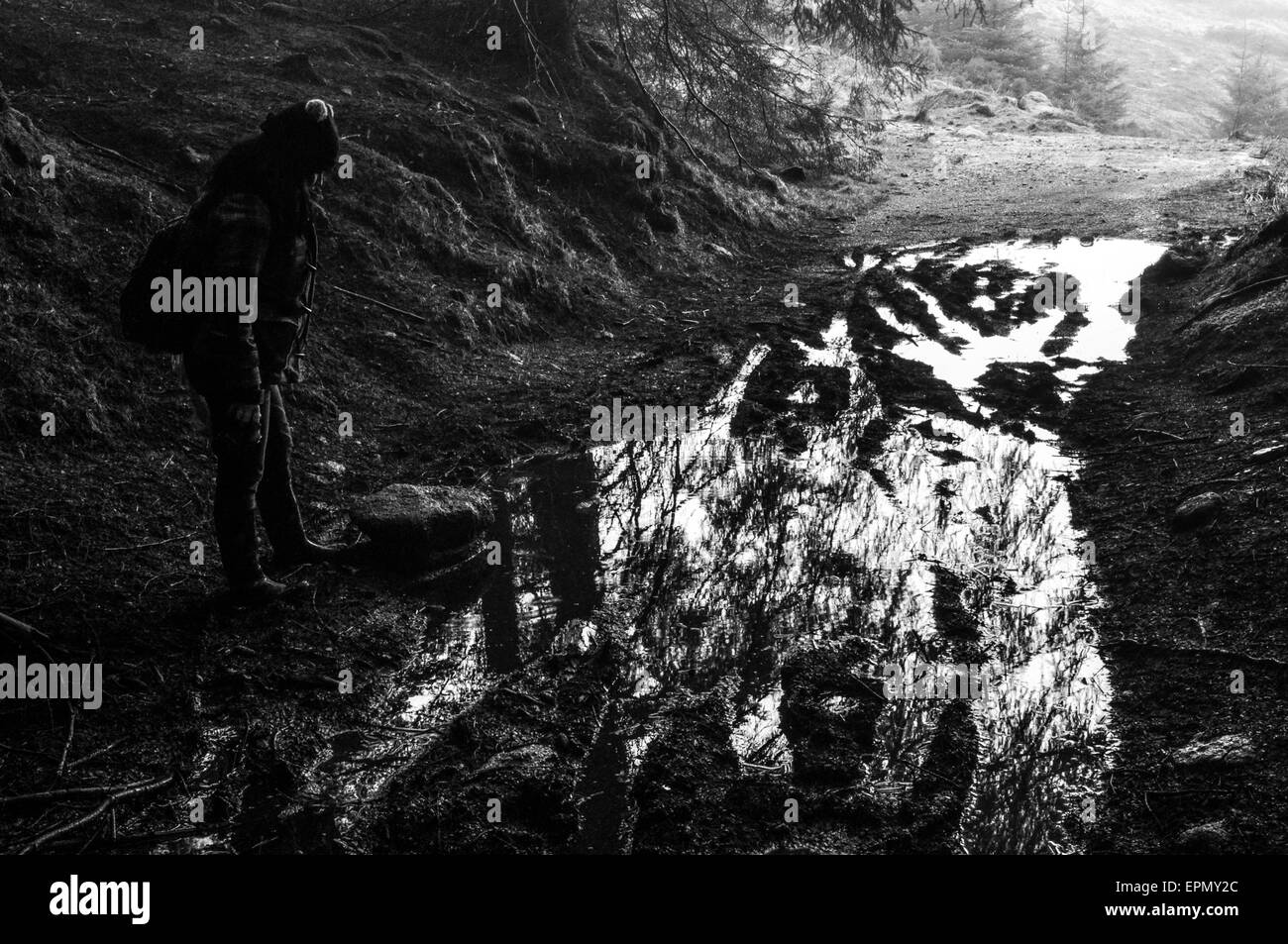 Three Rock Mountain, Dublin, Ireland Stock Photo - Alamy