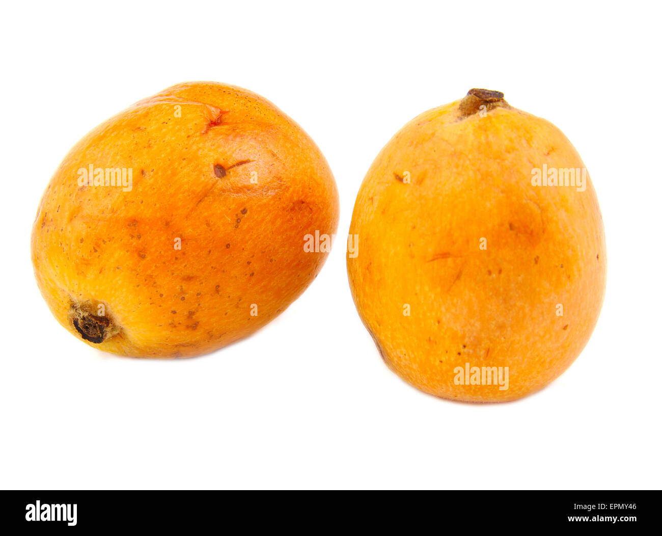 Close up view of some loquat fruit on white background Stock Photo - Alamy