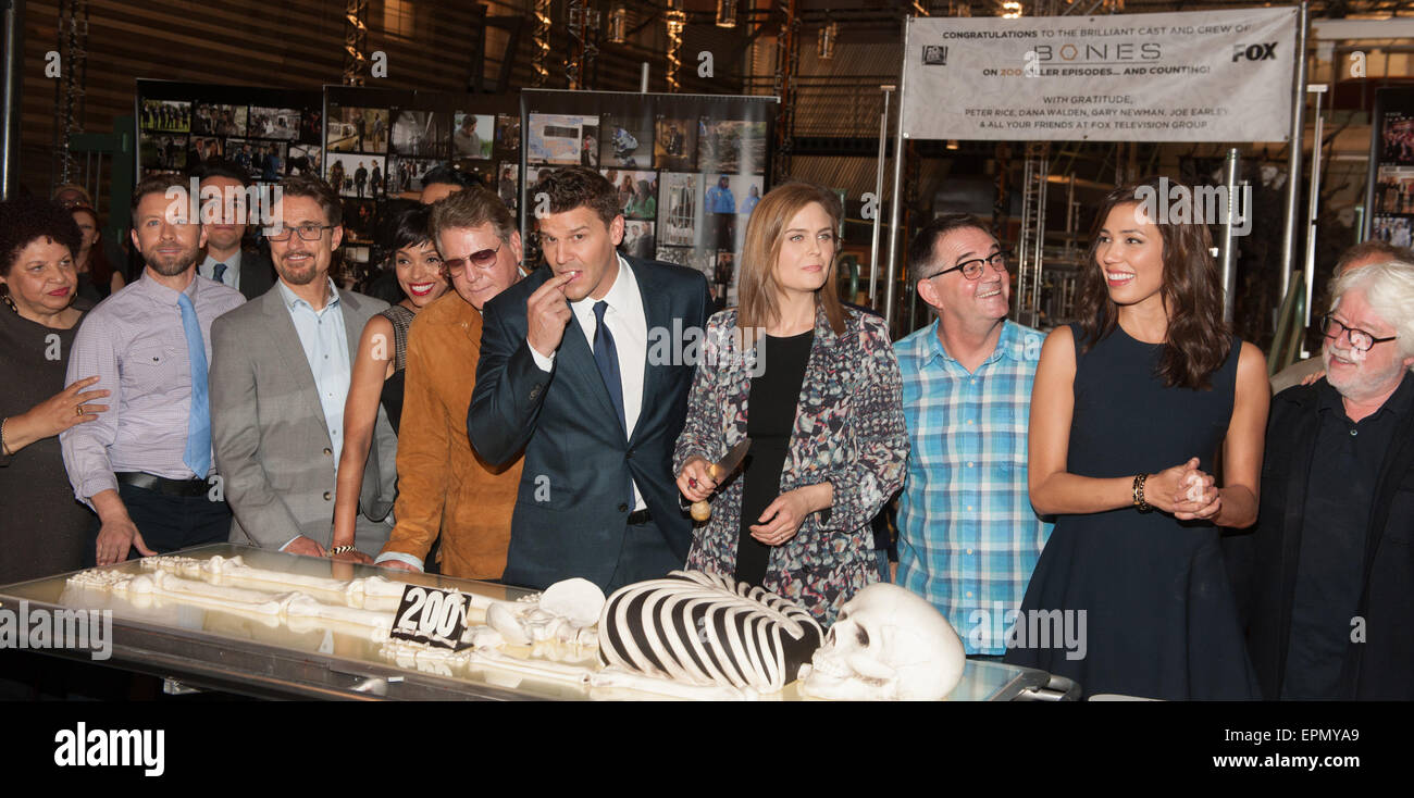 The cast and crew of FOX's hit show 'Bones' celebrate production of ...