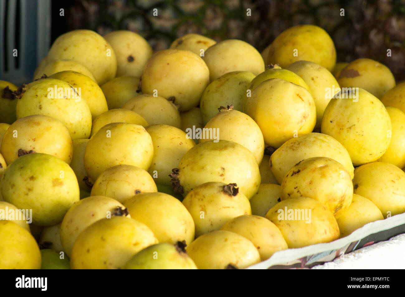 Wavas hi-res stock photography and images - Alamy