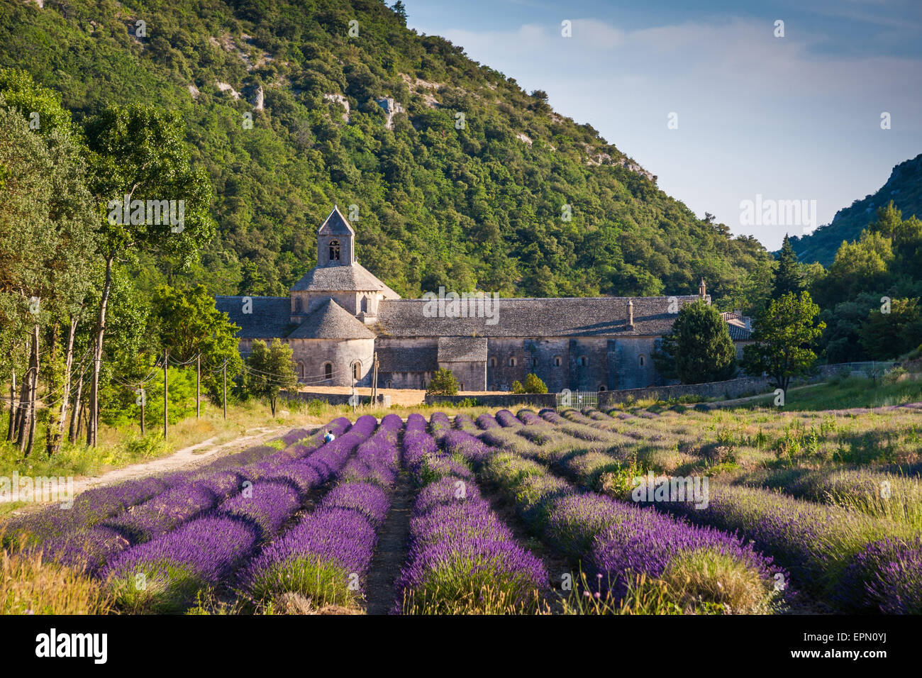The 12th century Romanesque Cistercian Abbey of Notre Dame of Senanque ...