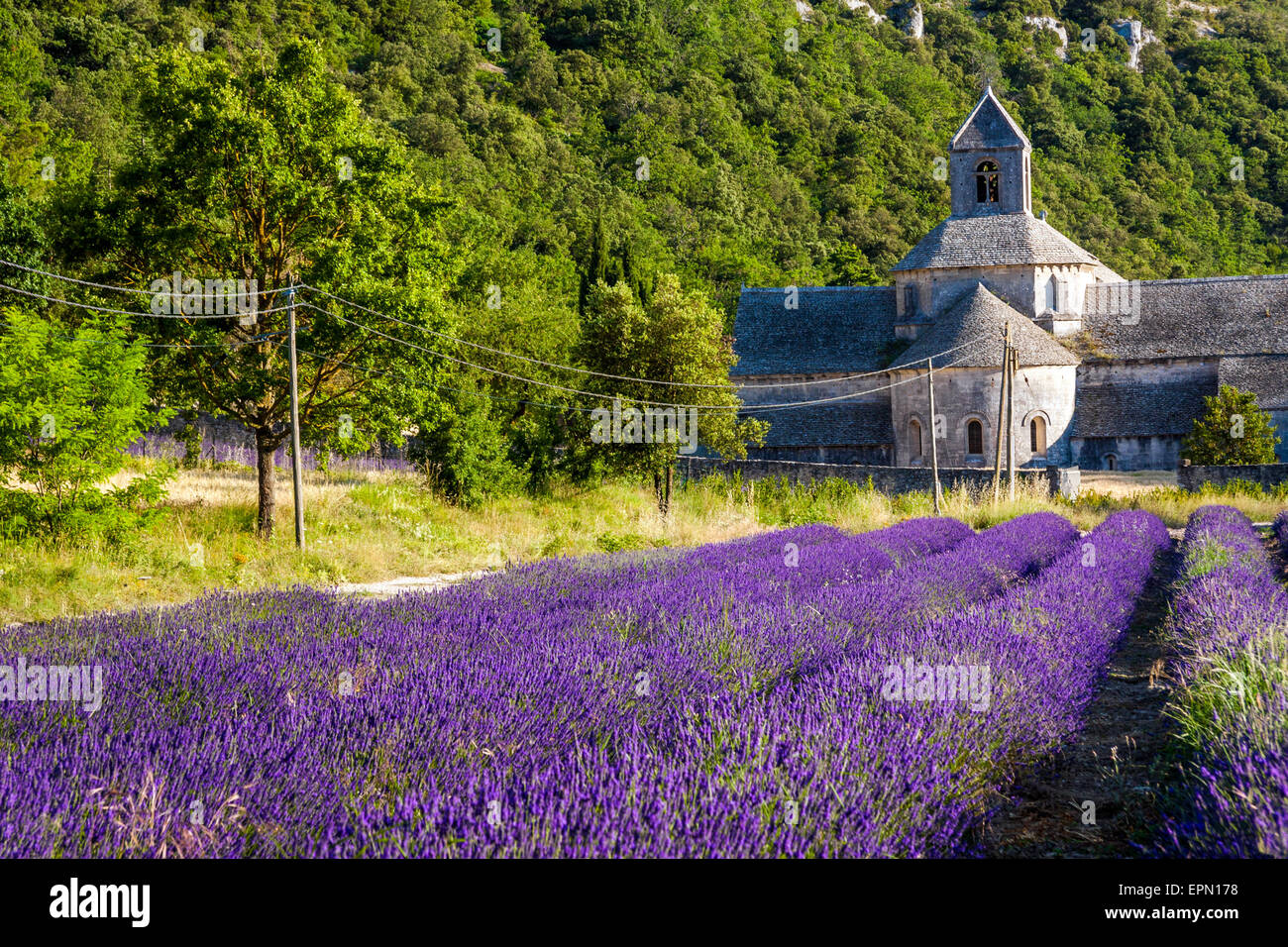 The 12th century Romanesque Cistercian Abbey of Notre Dame of Senanque ...
