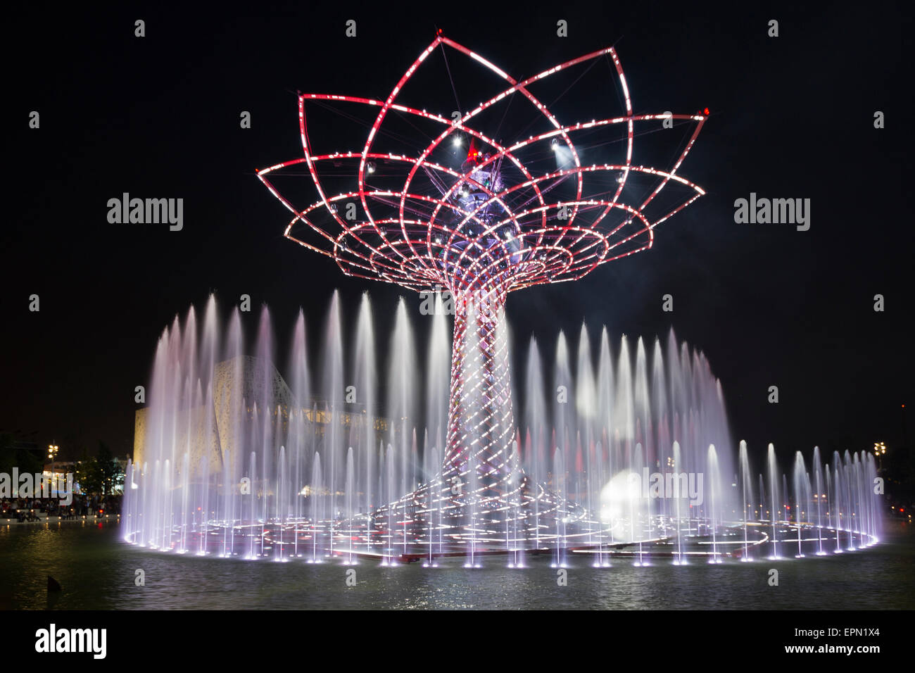 The Fountain Tree Of Life