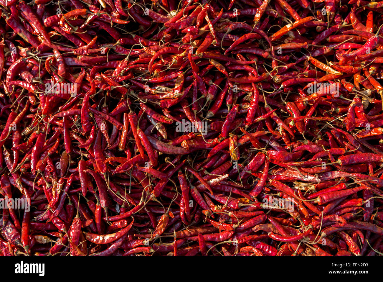 Red chillies laid out to dry in Myanmar Stock Photo - Alamy