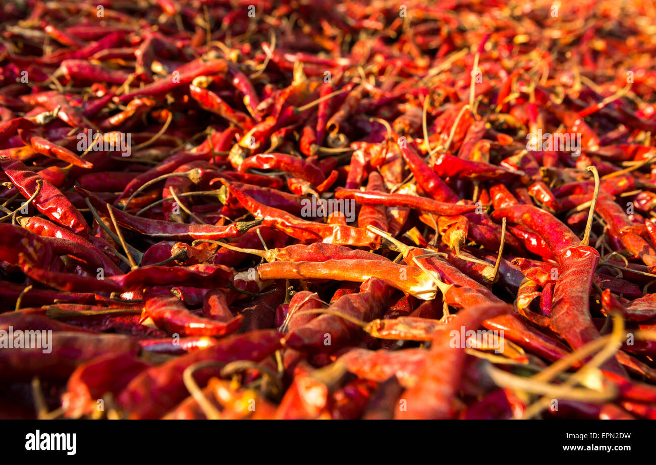 Dry Chillies High Resolution Stock Photography and Images - Alamy