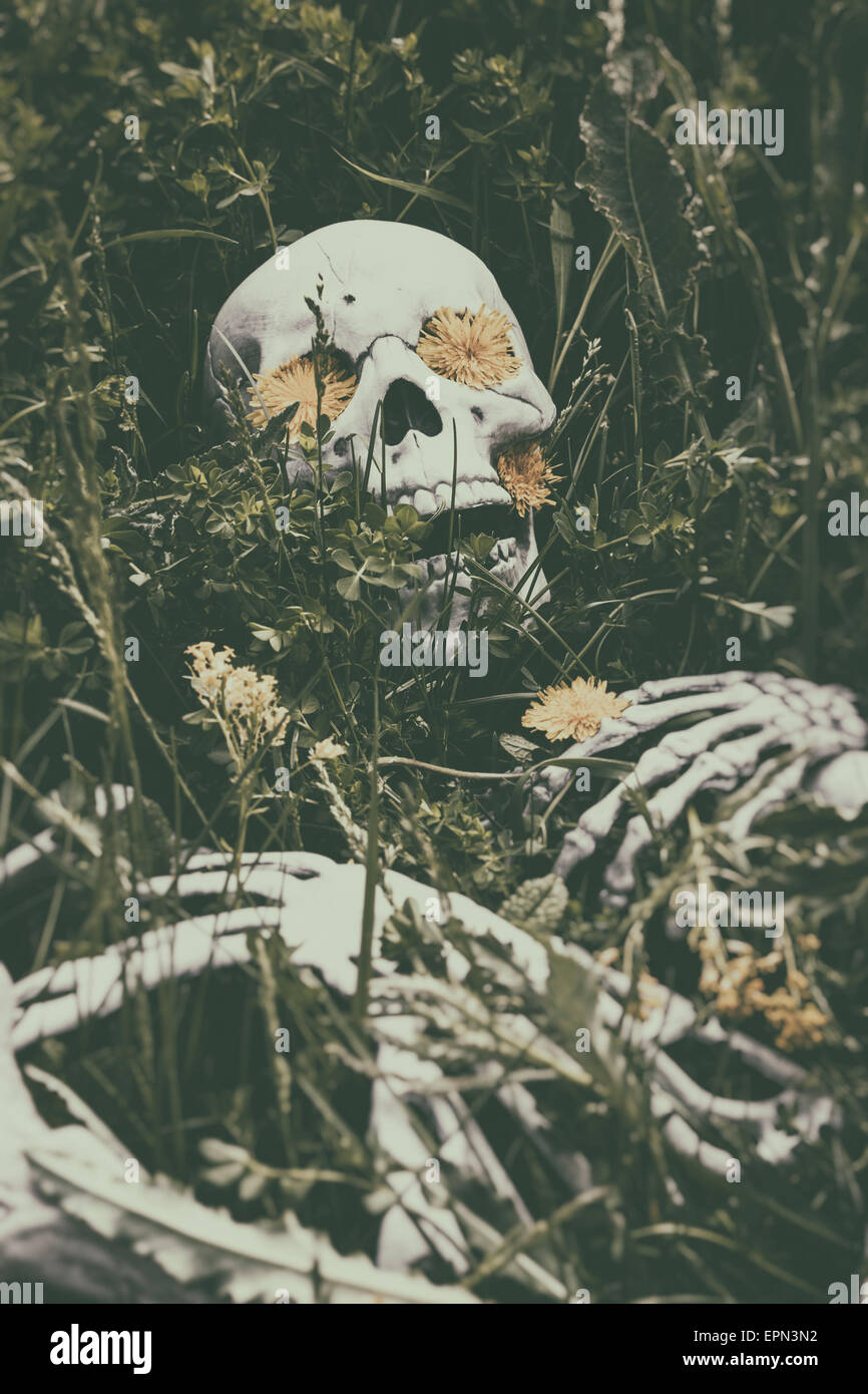 Decomposed Body High Resolution Stock Photography and Images - Alamy