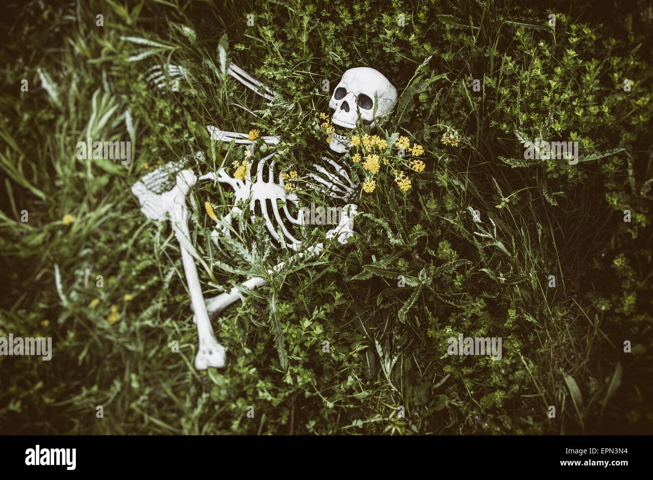 Decomposed Body High Resolution Stock Photography and Images - Alamy