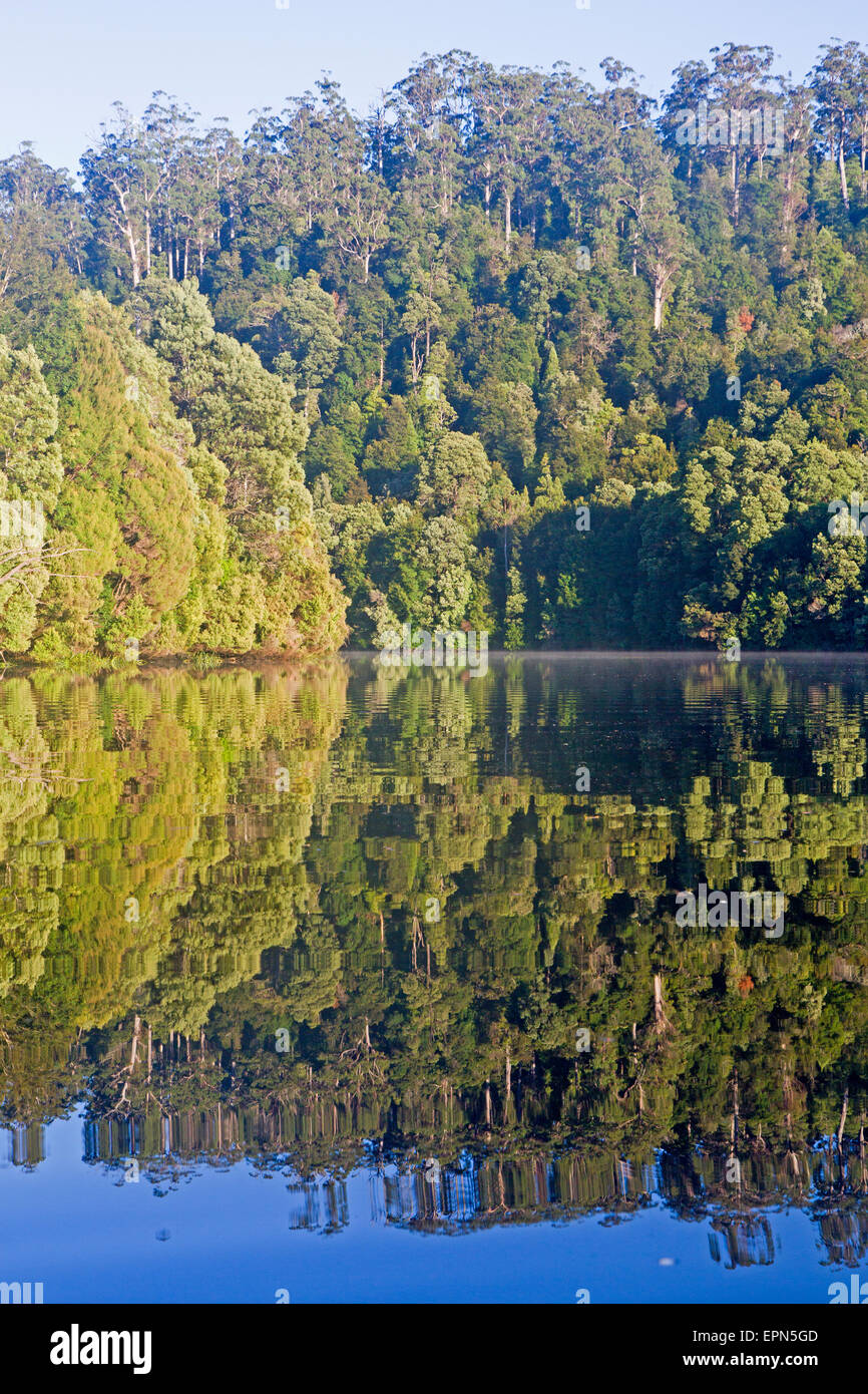 Tasmania river reflections hi-res stock photography and images - Alamy