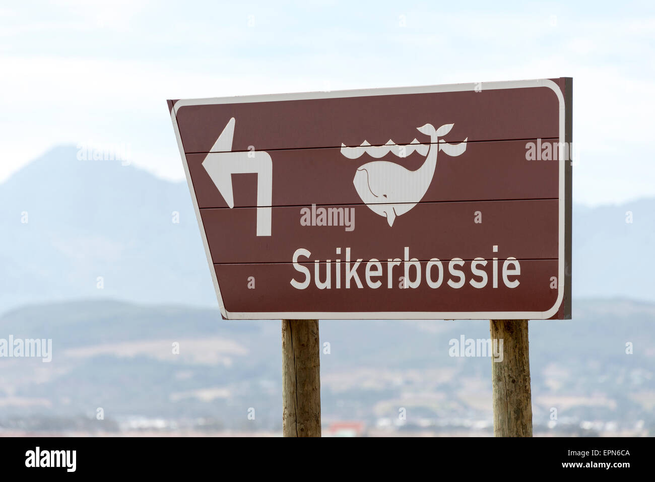 Gordons bay and south africa hi-res stock photography and images - Alamy