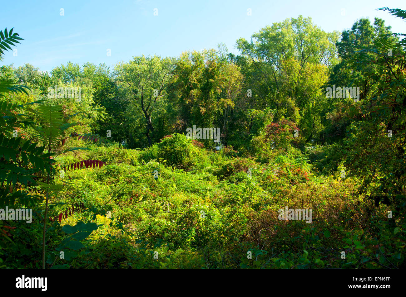 Where History Meets Nature: Exploring The Enchanting Windsor Locks ...