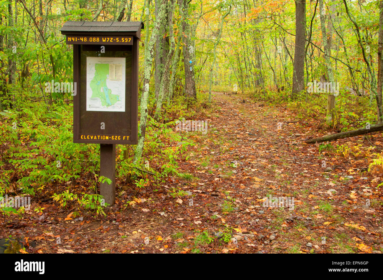 Hiking trail, James L Goodwin State Forest, Connecticut Stock Photo - Alamy
