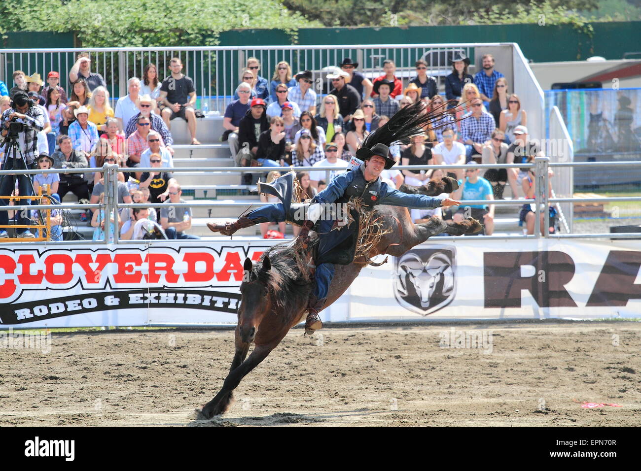 Rodeo queen hi-res stock photography and images - Alamy