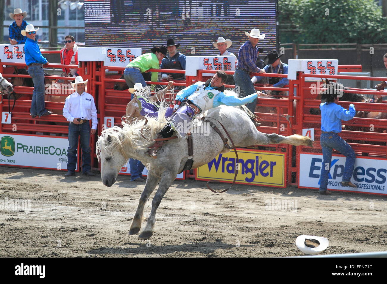 Bronc horse rodeo west western cowboy event bucking hi-res stock ...