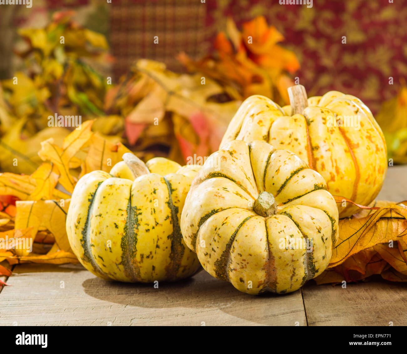 Three fall squash with fall leaves on wooden table Stock Photo - Alamy
