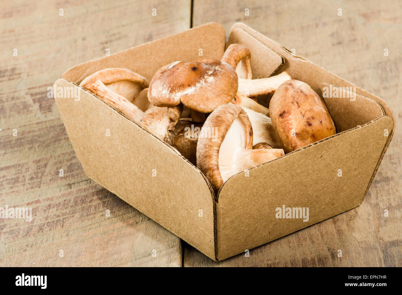 Box mushrooms hi-res stock photography and images - Alamy