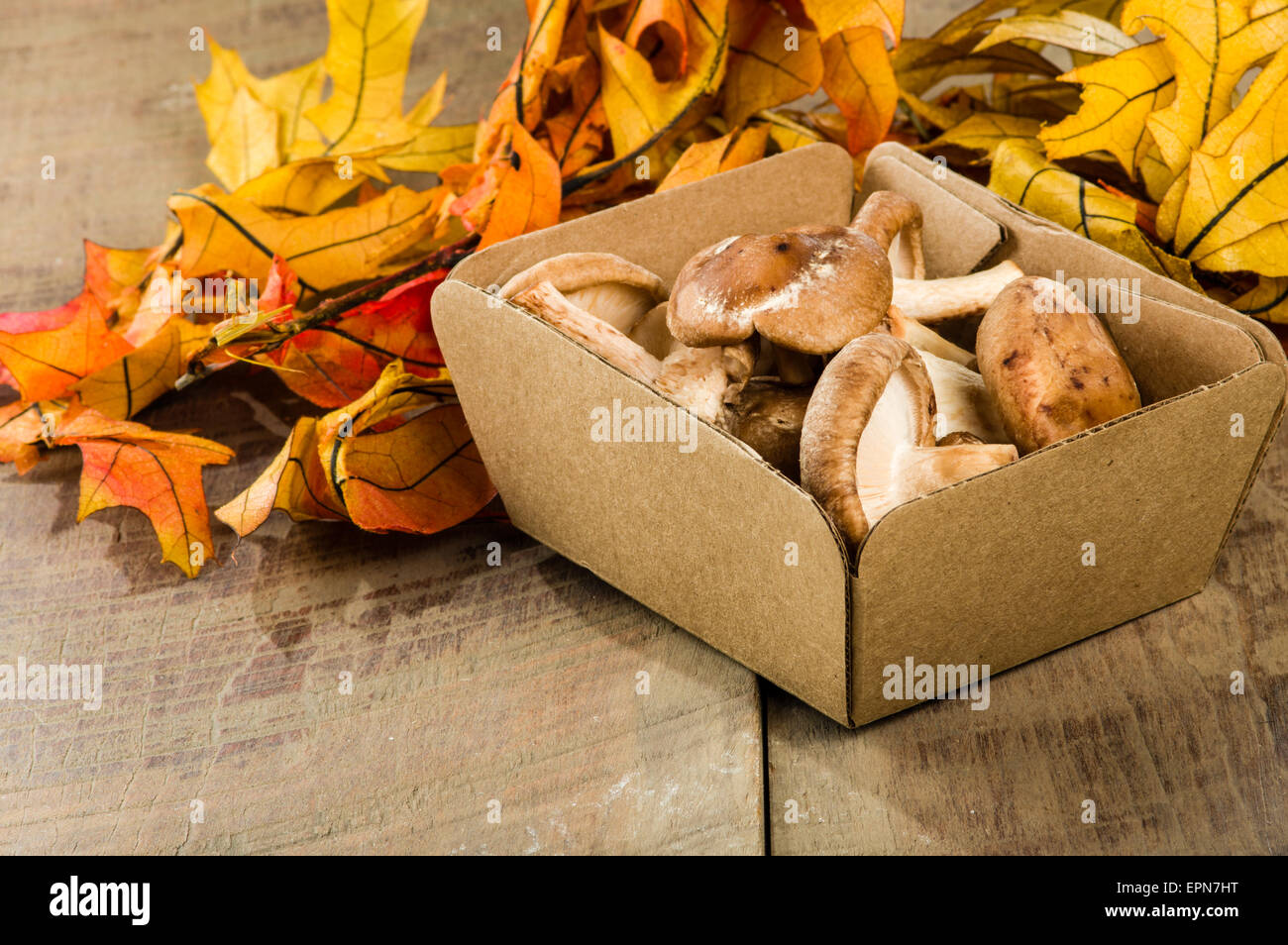 Box mushrooms hi-res stock photography and images - Alamy