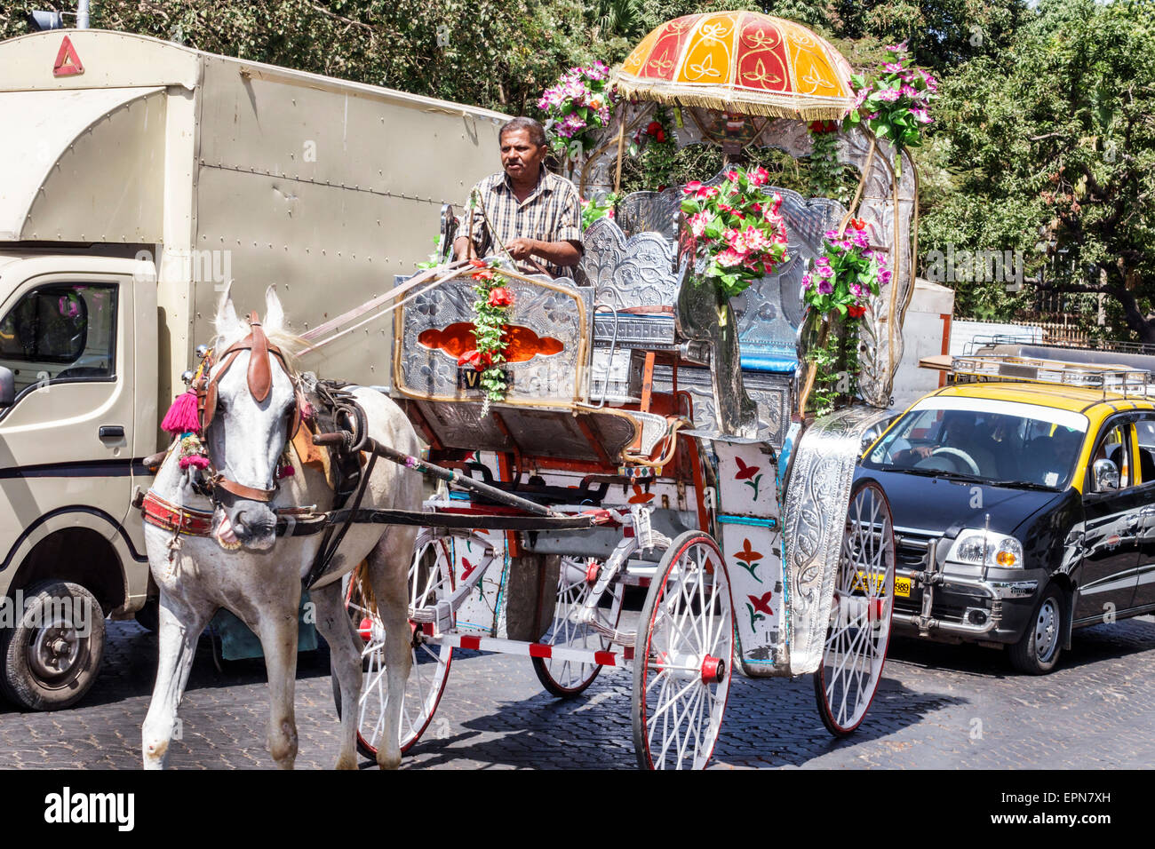 Indian Horse Carriage High Resolution Stock Photography and Images - Alamy