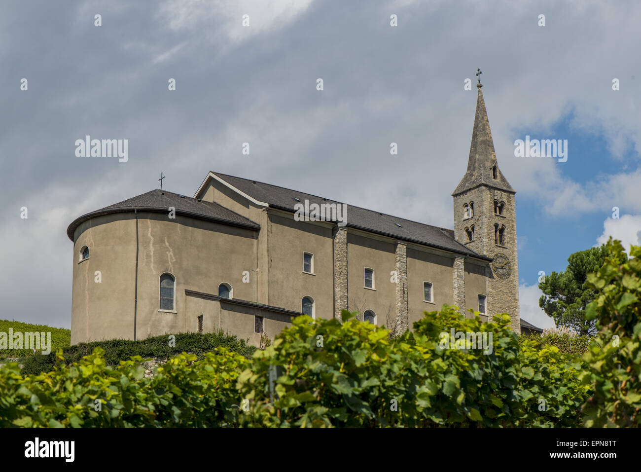 Rhone Valley, vine growing area, Conthey, Bourg, Valais, Switzerland ...