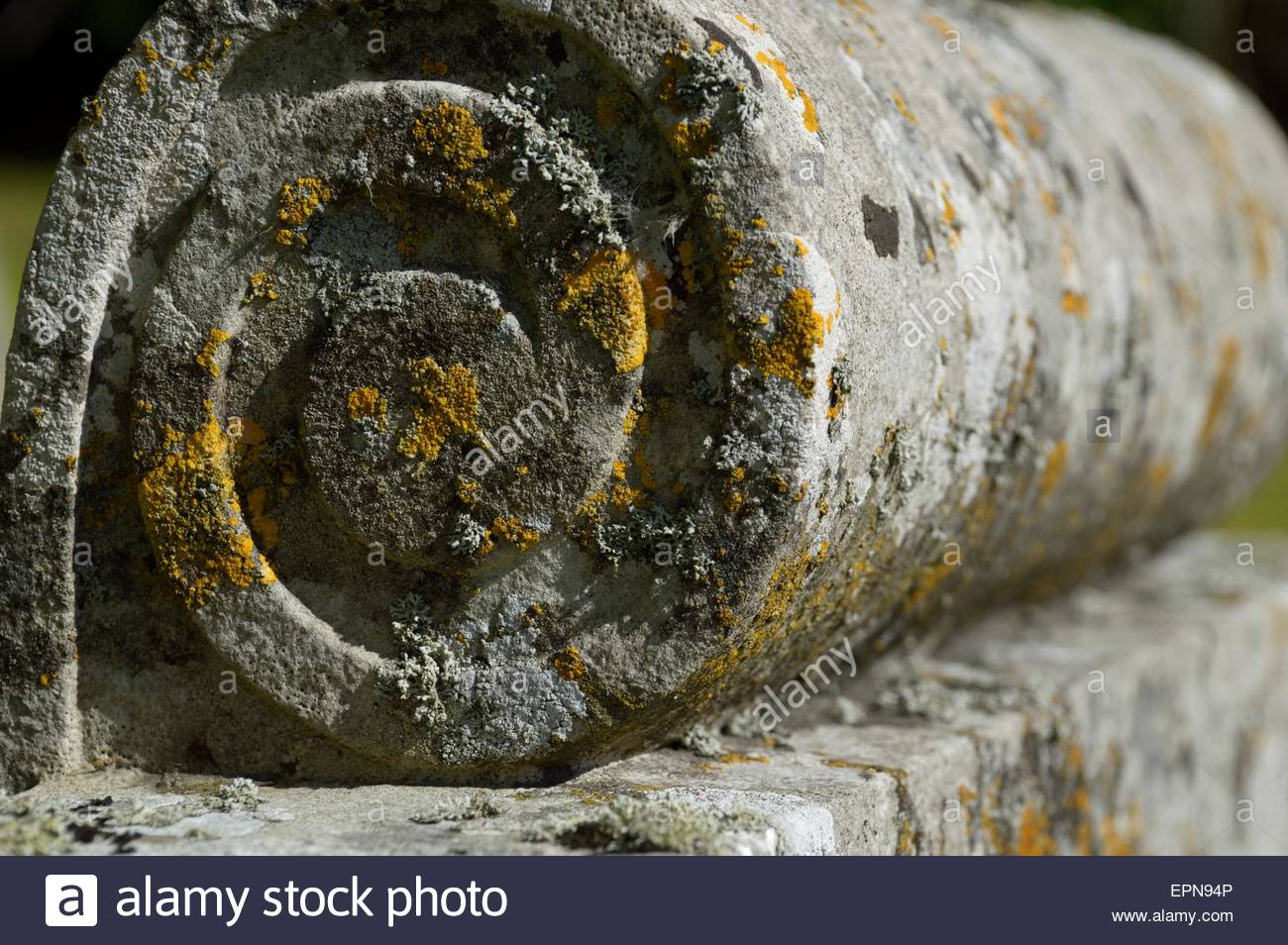 Decorative Scroll Pattern High Resolution Stock Photography and Images ...