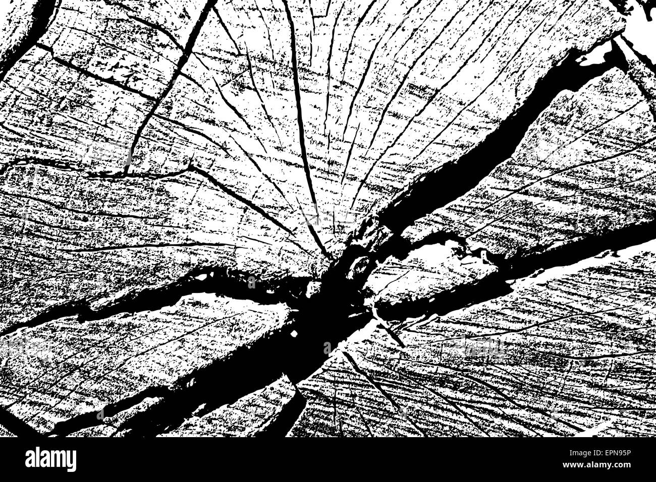 Cracked tree detail Stock Vector Images - Alamy