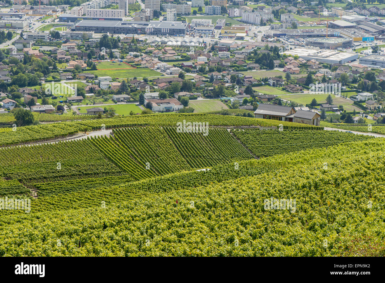 Rhone Valley, vine growing area, Conthey, Bourg, Valais, Switzerland ...