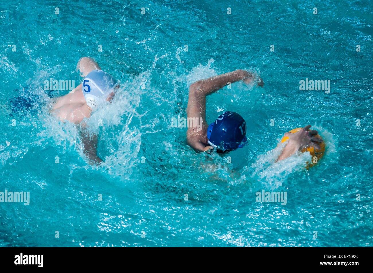Water polo is a team water sport Stock Photo - Alamy