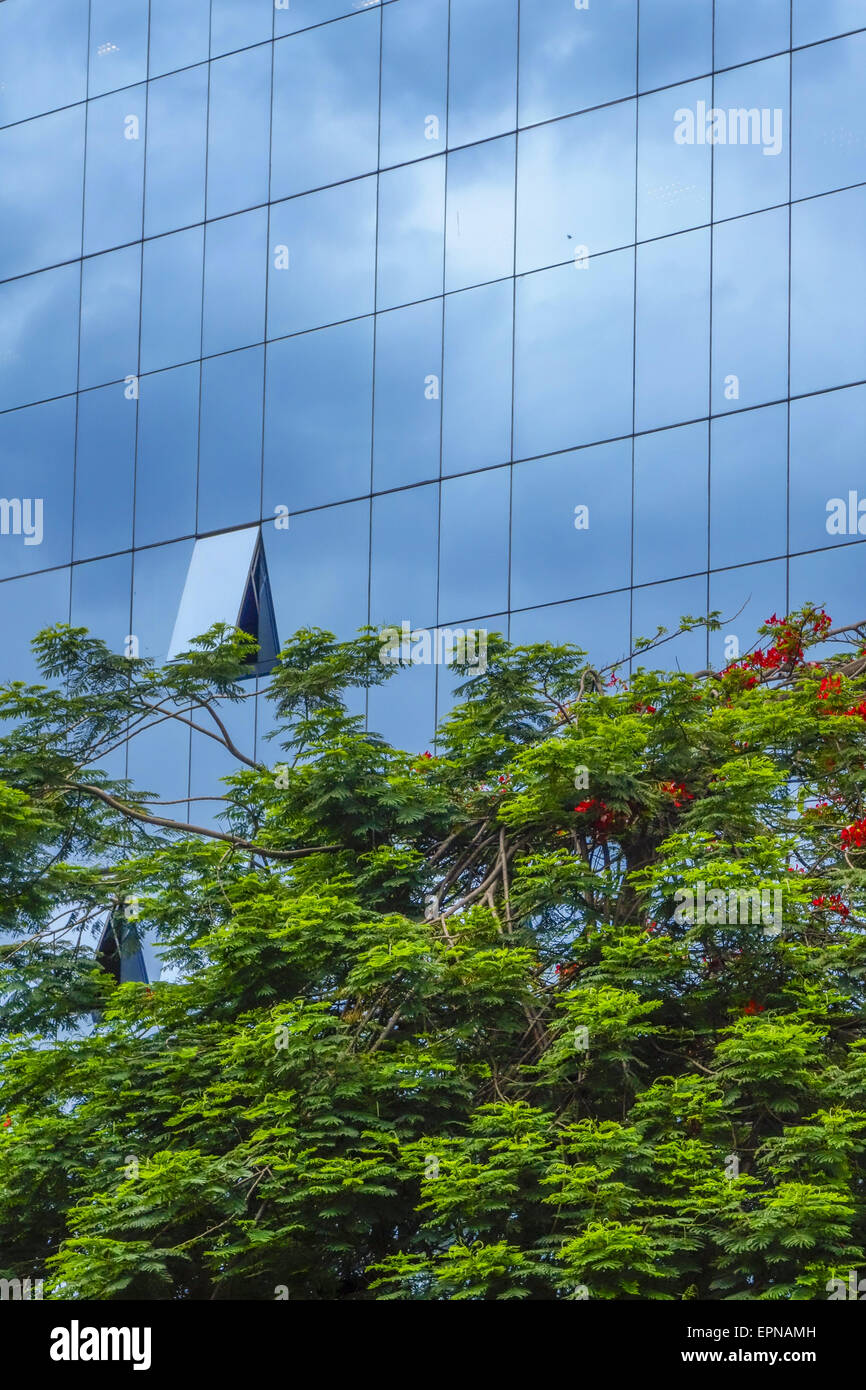 Rio building hi-res stock photography and images - Alamy