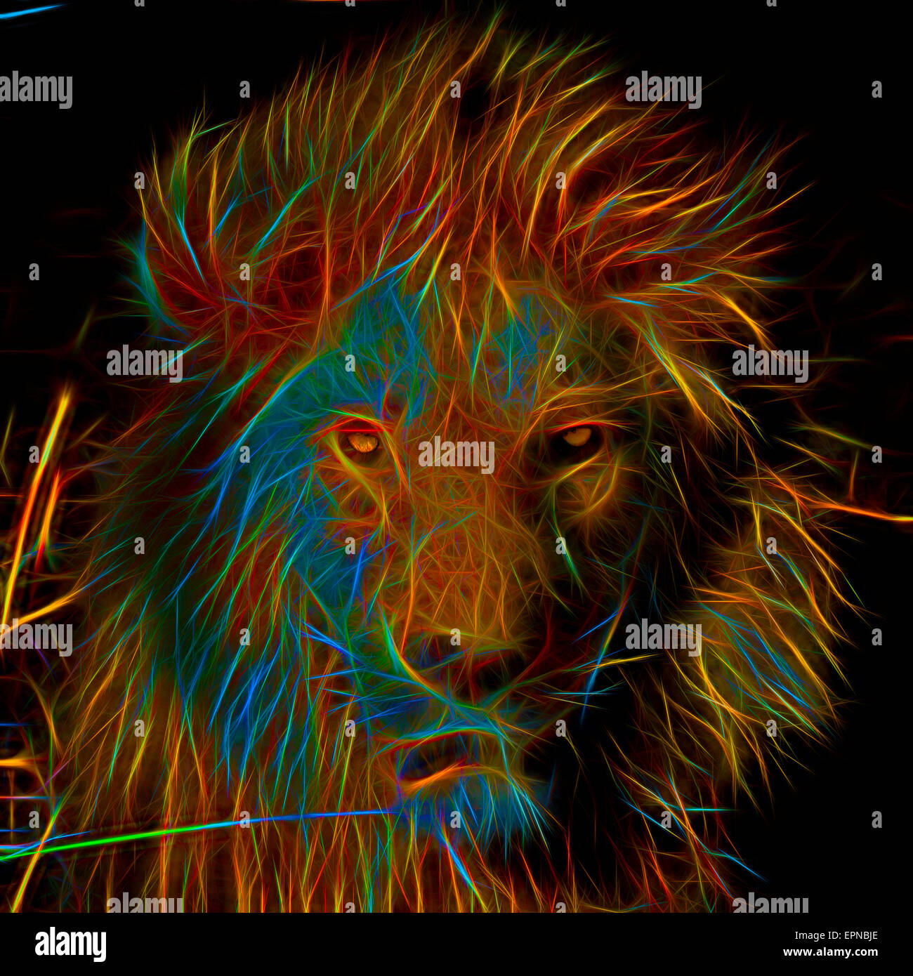 Lion, male, animal portrait, modified Stock Photo - Alamy