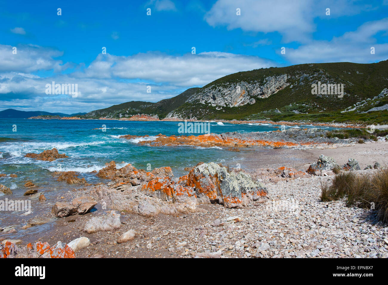 Coast, Rocky Cape National Park, Tasmania Stock Photo - Alamy