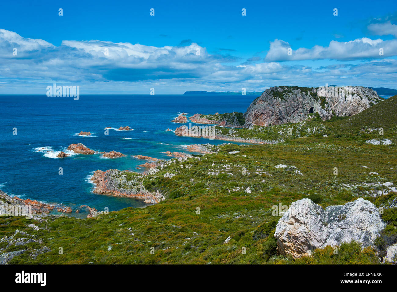 Coast, Rocky Cape National Park, Tasmania Stock Photo - Alamy
