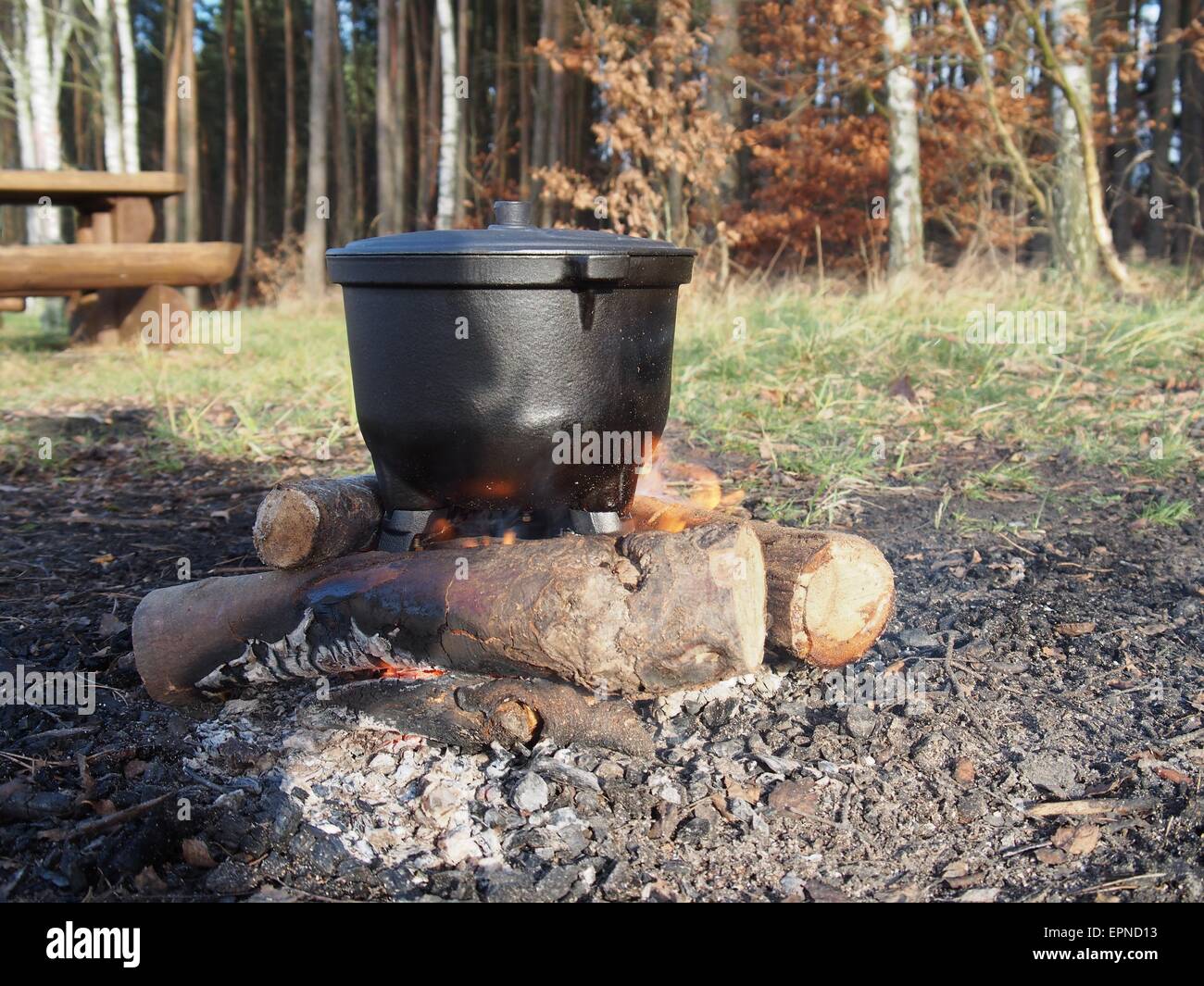 metal pot and fire on forest background Stock Photo - Alamy