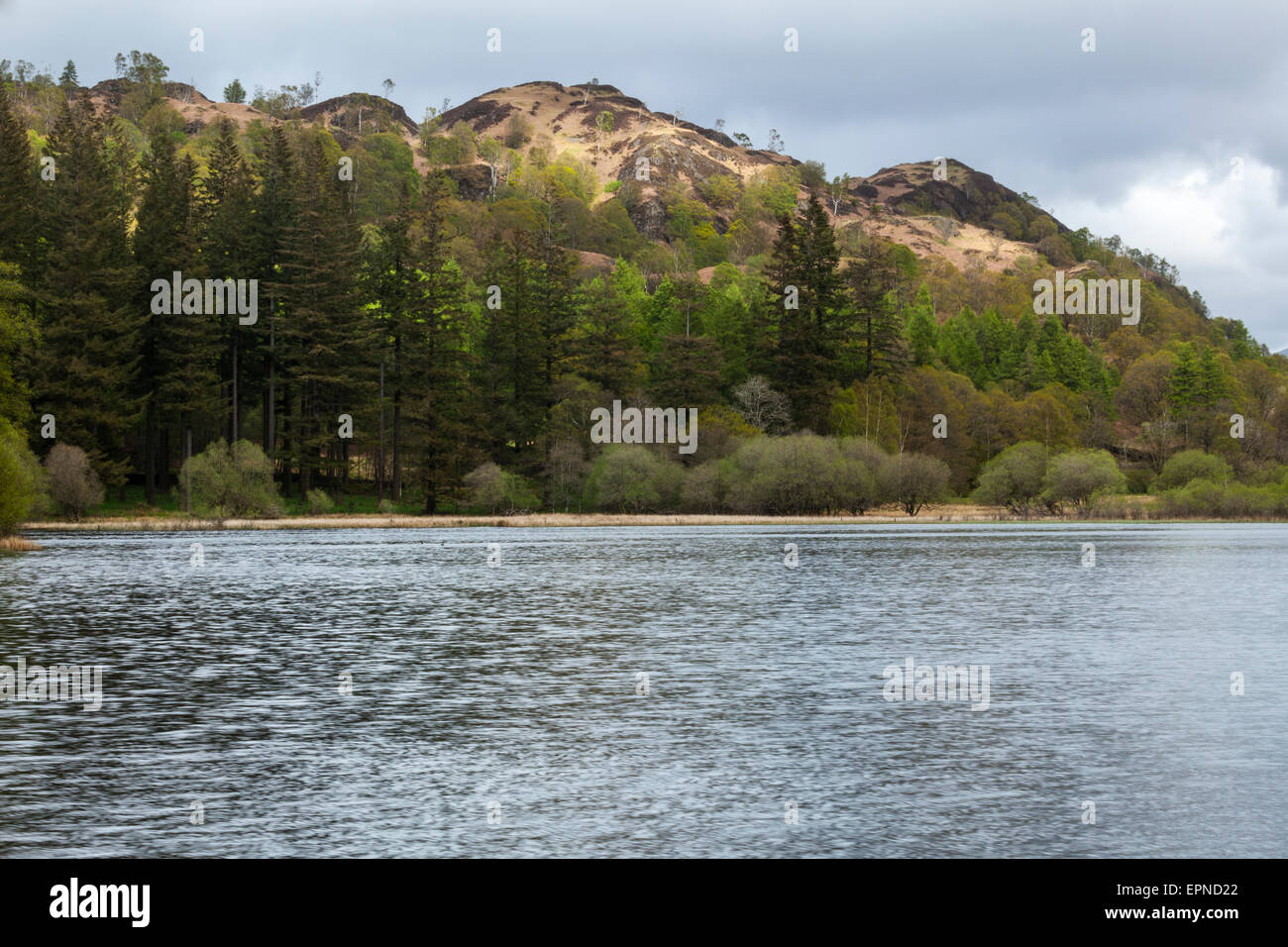 Yew Tree Tarn Lake District High Resolution Stock Photography and ...