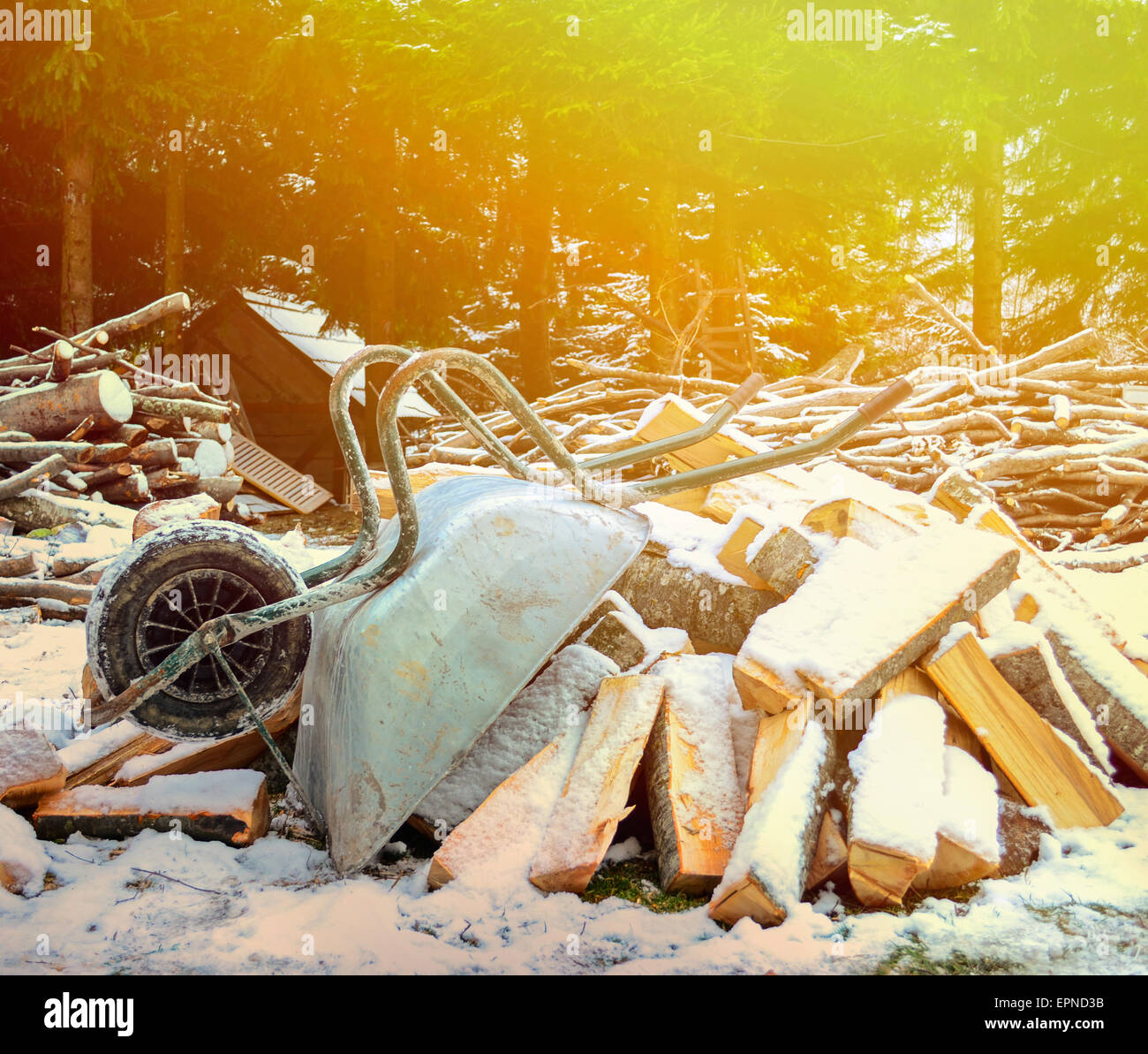 Log wheelbarrow wood hi-res stock photography and images - Alamy
