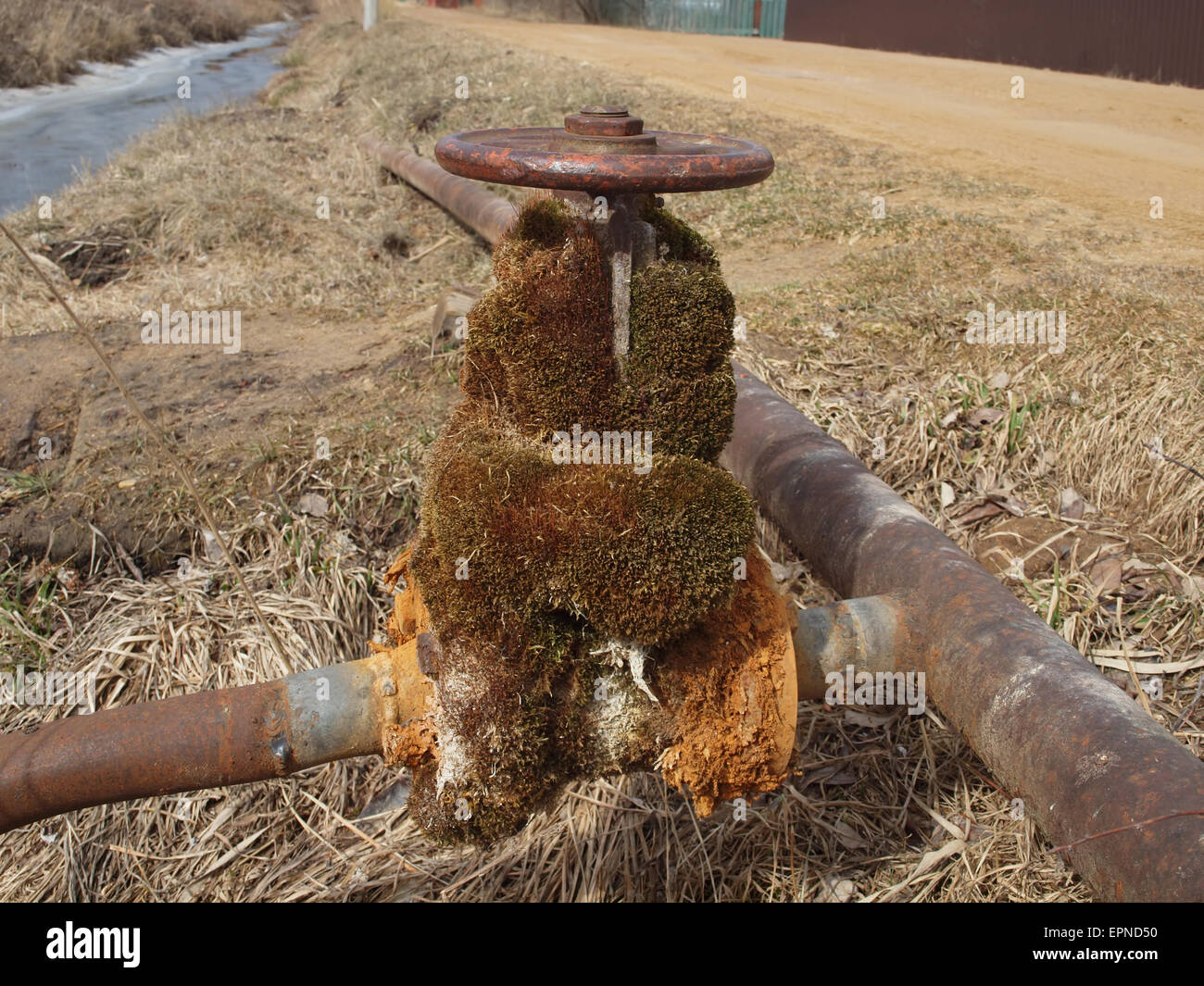 Old faucet overgrown with moss on an old rusty plumbing Stock Photo - Alamy
