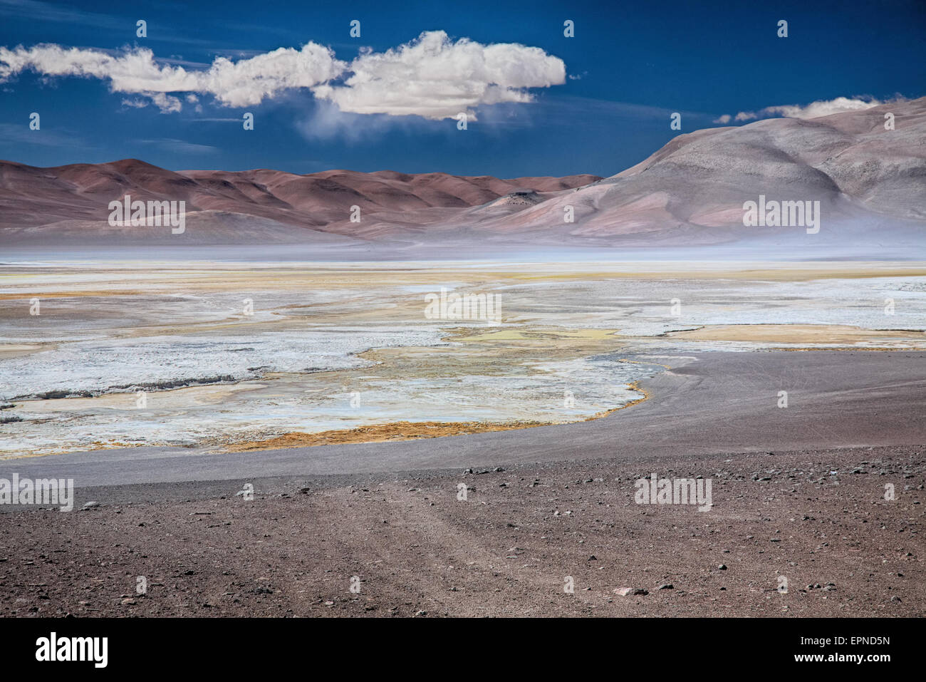 salt lake Salar de Pujsa, Chile Stock Photo - Alamy