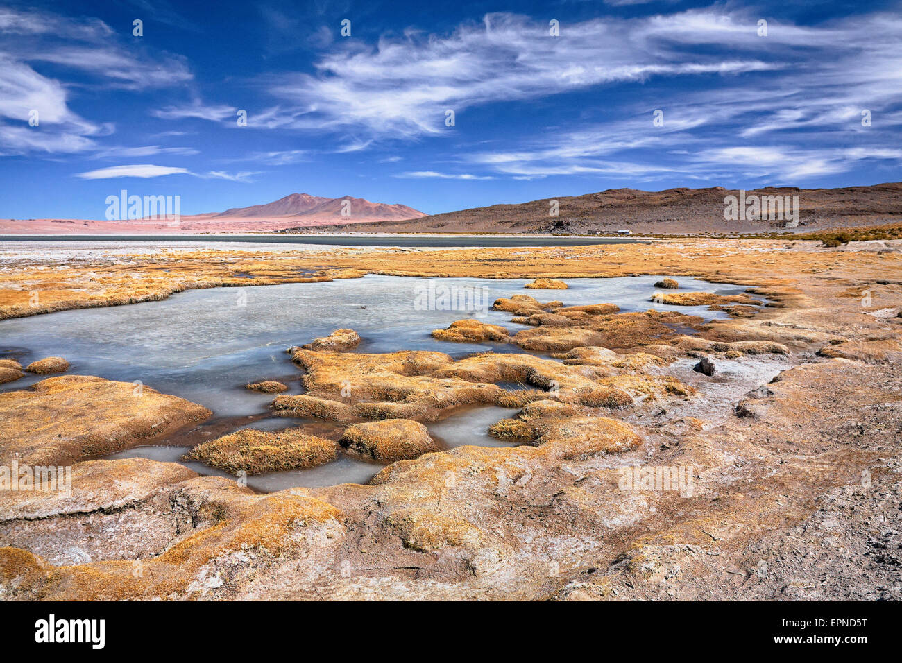 salt lake Salar de Tara, Chile Stock Photo - Alamy